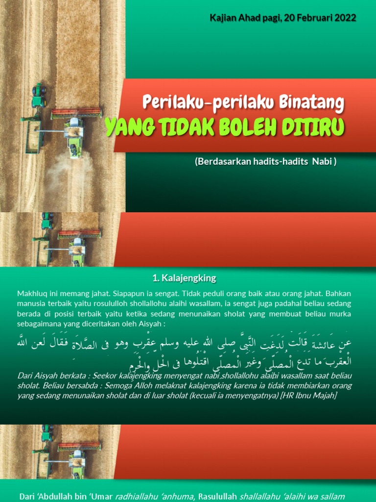 Perilaku Binatang Yang Tidak Boleh Ditiru | PDF