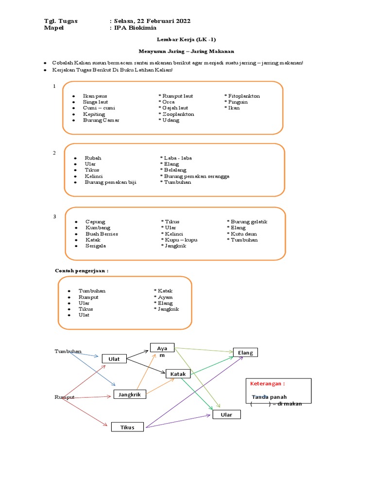 Lembar Kerja Jaring - Jaring | PDF