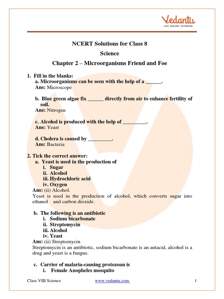 Class 8 Microorganisms Study Guide | PDF | Microorganism | Bacteria