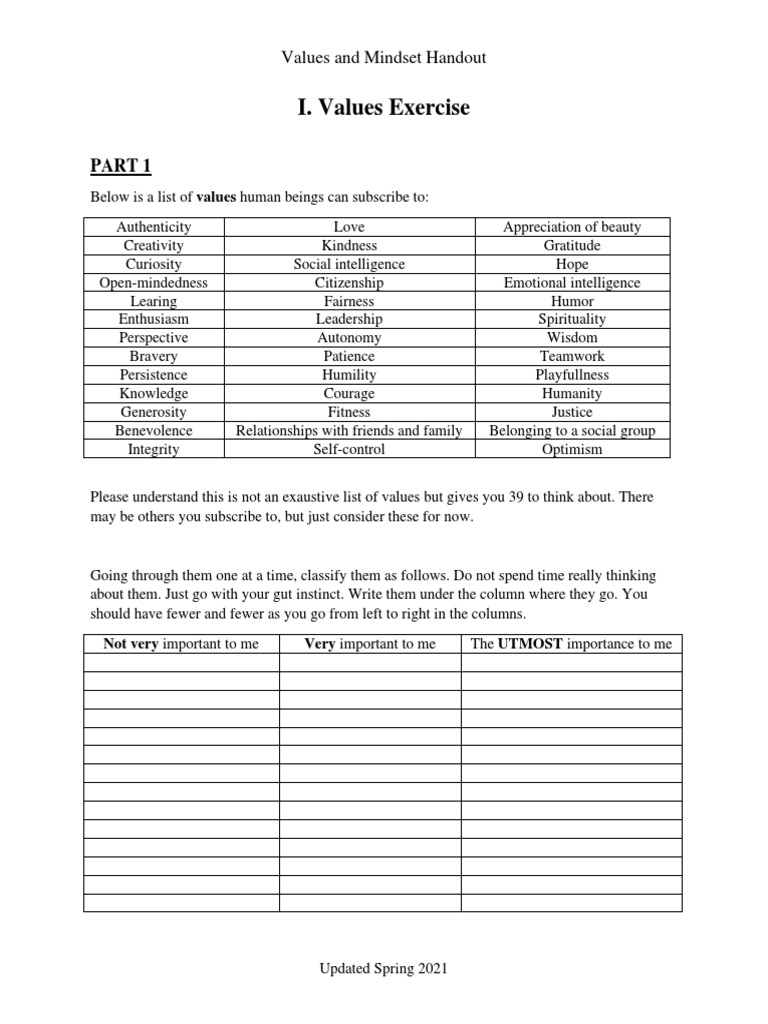 Values and Mindset Exercise | PDF | Mindset | Self Efficacy