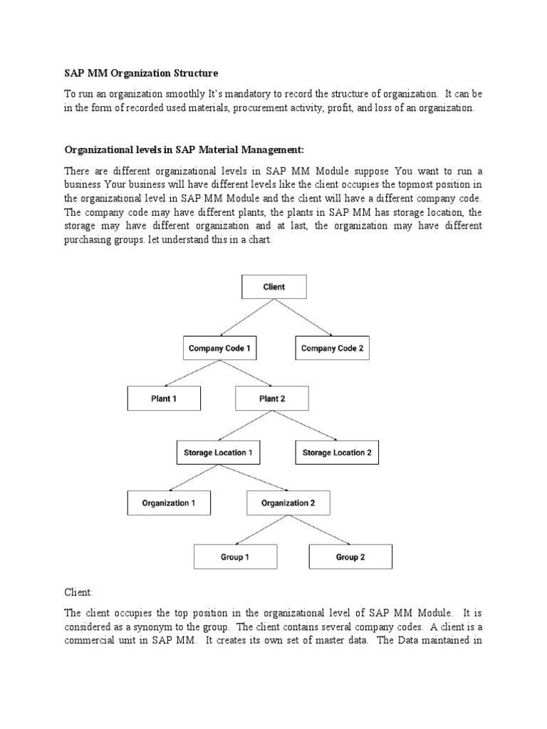 5.SAP MM Org Structure | PDF | Procurement | Icon (Computing)