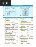 The Medication Adherence Report Scale MARS-5 A Mea | PDF | Self Report ...