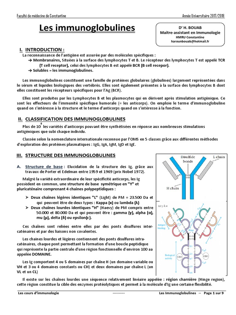 Structure et fonctions des immunoglobulines | PDF | Immunoglobuline G ...