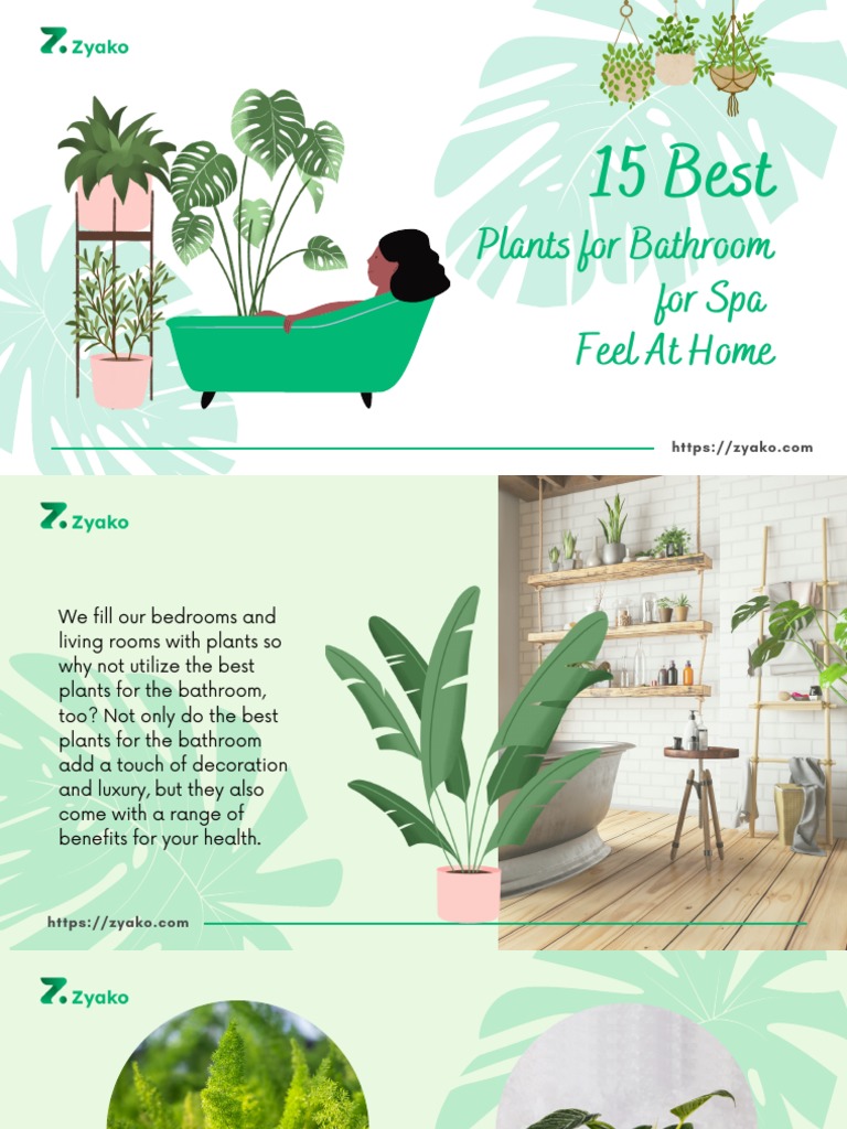 15 Best Plants For Bathroom For Spa Feel at Home | PDF | Houseplant ...