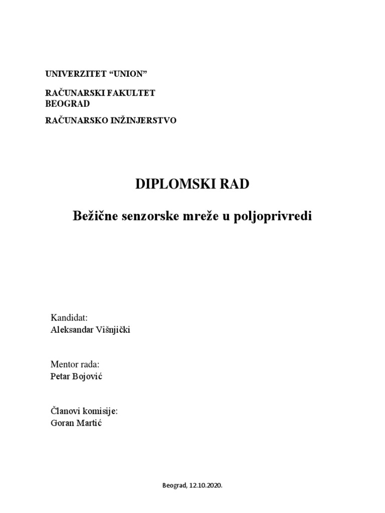 Aleksandar Visnjicki Diplomski Rad | PDF