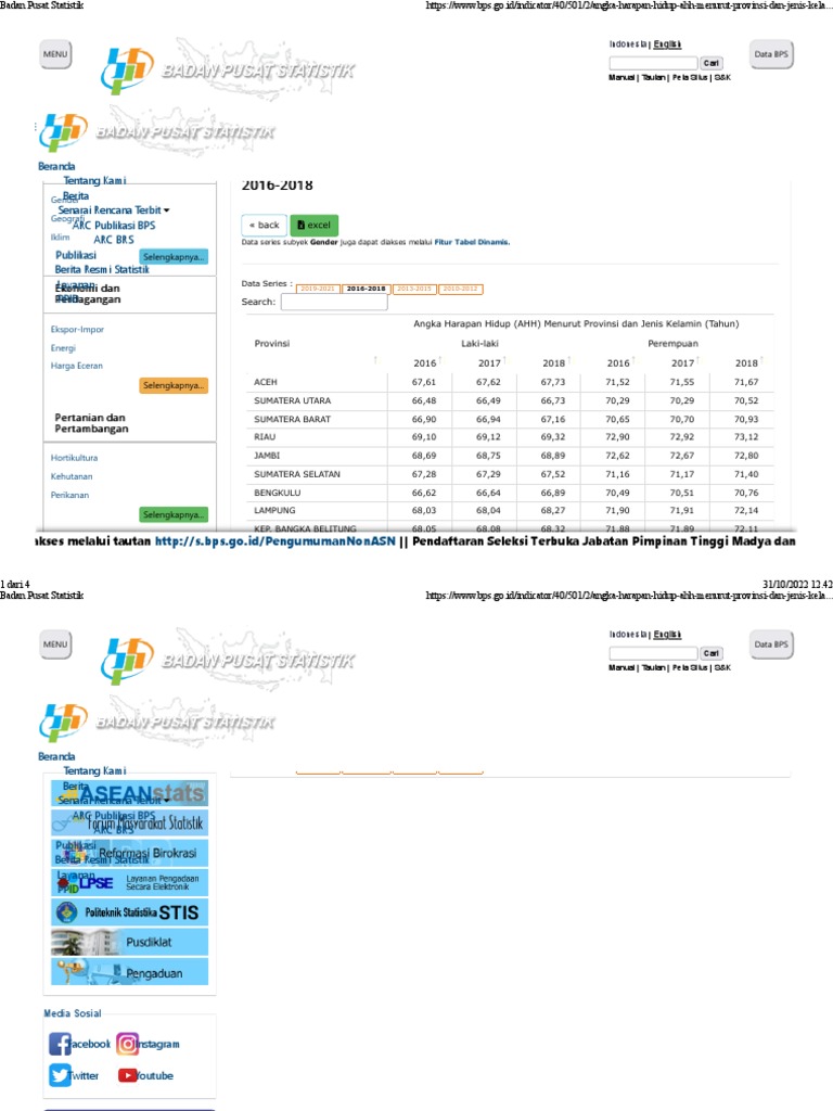 Badan Pusat Statistik | PDF