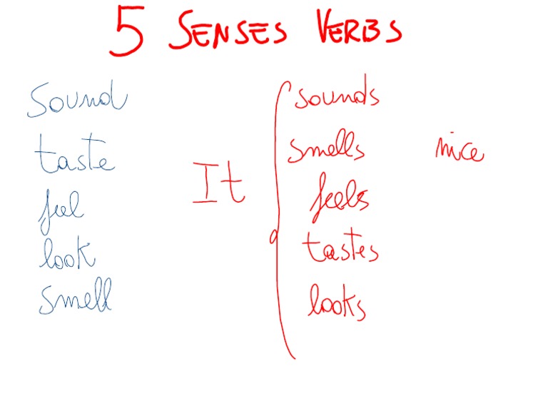 5 Senses Verbs | PDF