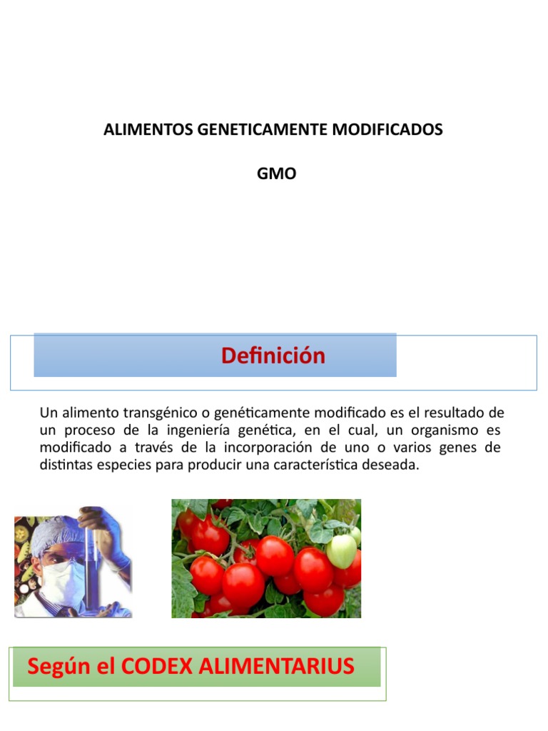GMO | PDF | Organismo genéticamente modificado | Ingeniería genética