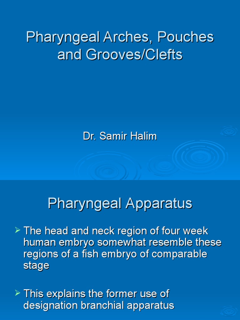 02-Pharyngeal Arches - Pouches and Clefts | PDF