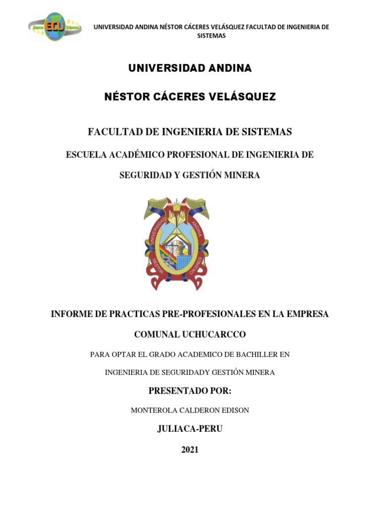 INFORME EDISON MONTEROLA CALDERON BACHILLER | PDF | Valores | Andamio