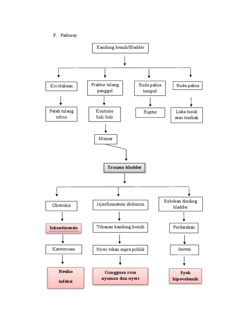 Pathway Trauma Kandung Kemih | PDF