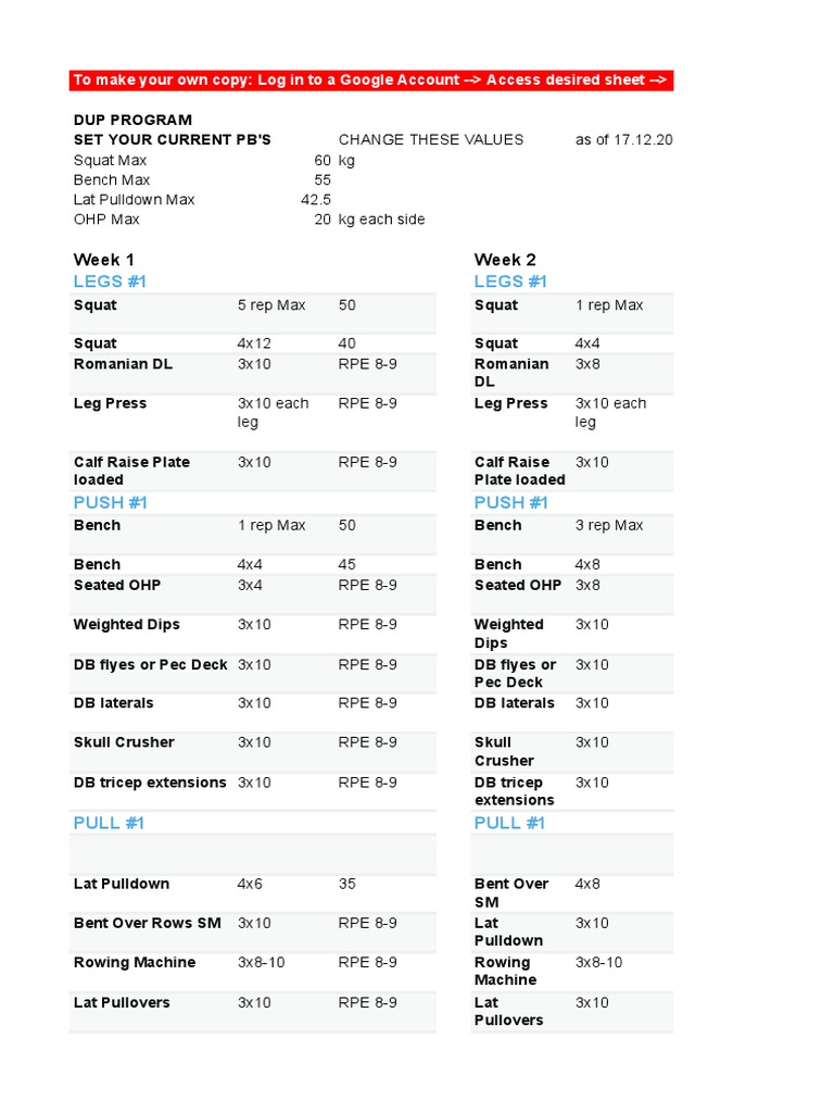 David Laid DUP Program - LiftVault - Com - Google Sheets | PDF ...