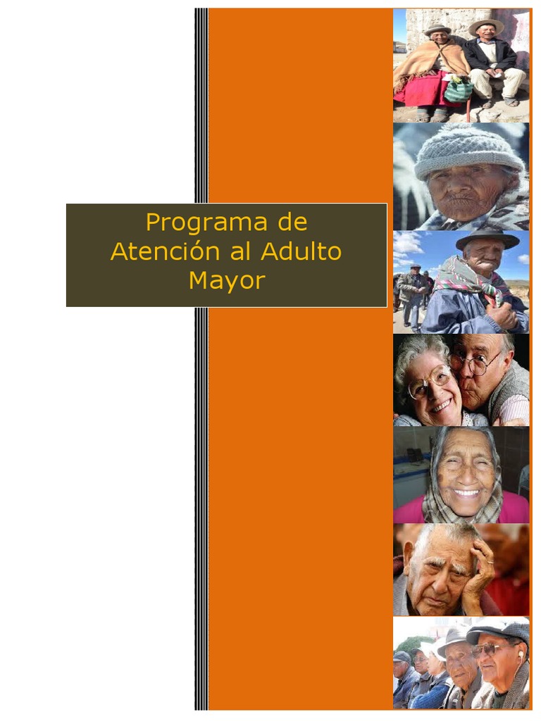 Programa de Atención Al Adulto Mayor | PDF | Adultos | Vejez