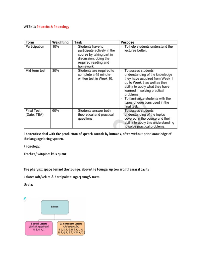 Linguistics 1 | PDF | Syllable | Human Voice