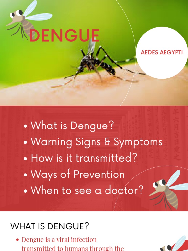Understanding Dengue: Causes, Symptoms, Prevention and When to Seek ...