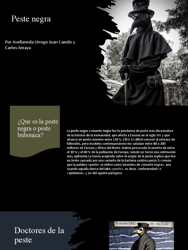 Impacto y prevención de la peste negra | PDF | Muerte negra | Ciencias ...