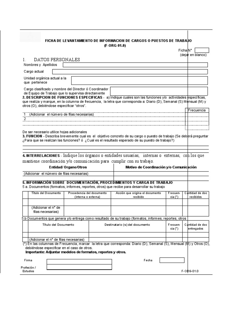 Ficha de Levantamiento de Informacion | PDF | Informática