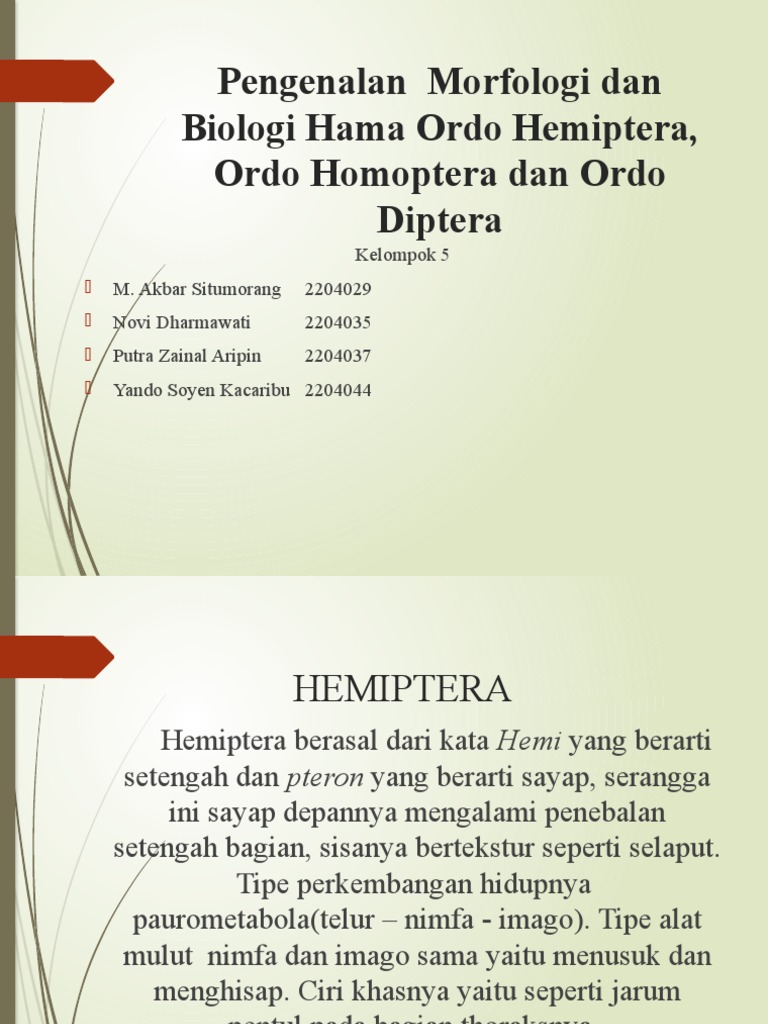 Hemiptera, Homoptera, dan Diptera | PDF