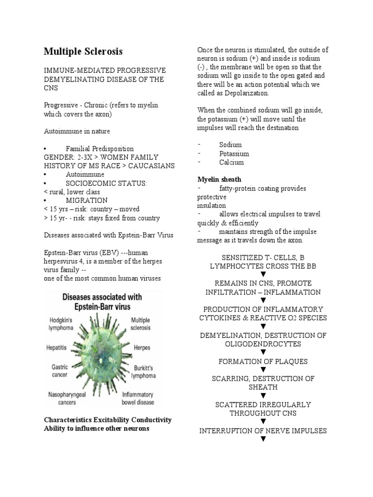 Multiple Sclerosis | PDF | Spinal Cord | Brainstem