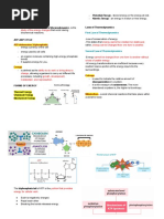 Biology Reviewer Grade 12 STEM First Semester | PDF | Meiosis | Mitosis