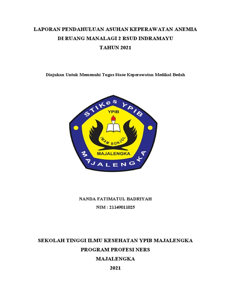 LP Anemia Nanda | PDF