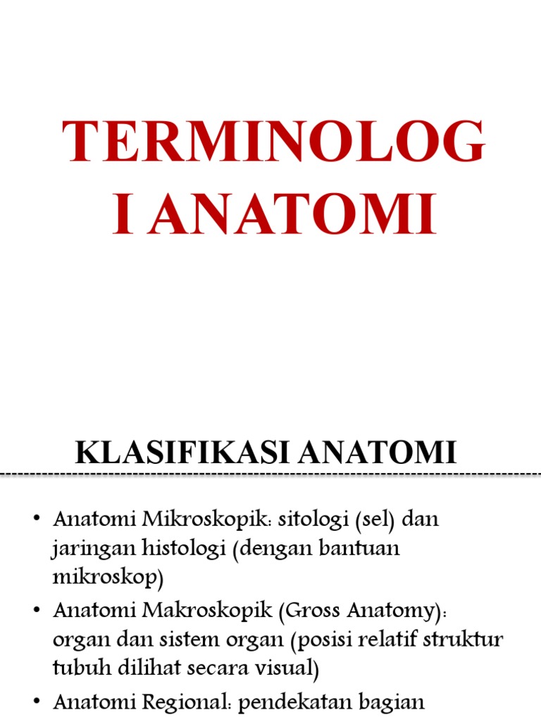 Terminologi Anatomi | PDF | Kesehatan Holistik