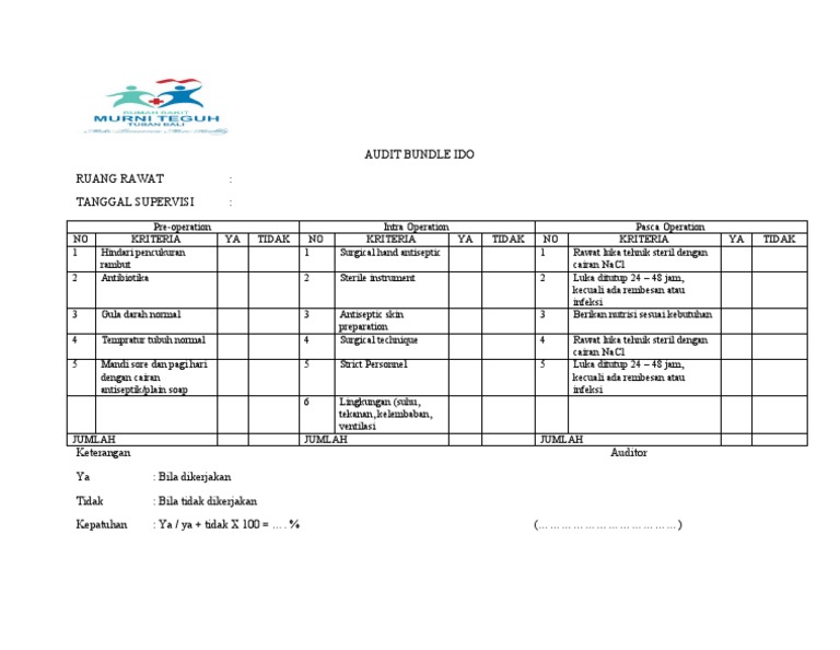 Audit Bundle Ido | PDF