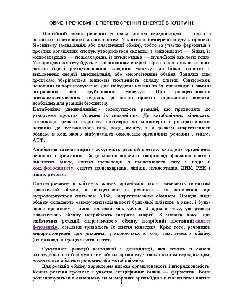 Анг | PDF