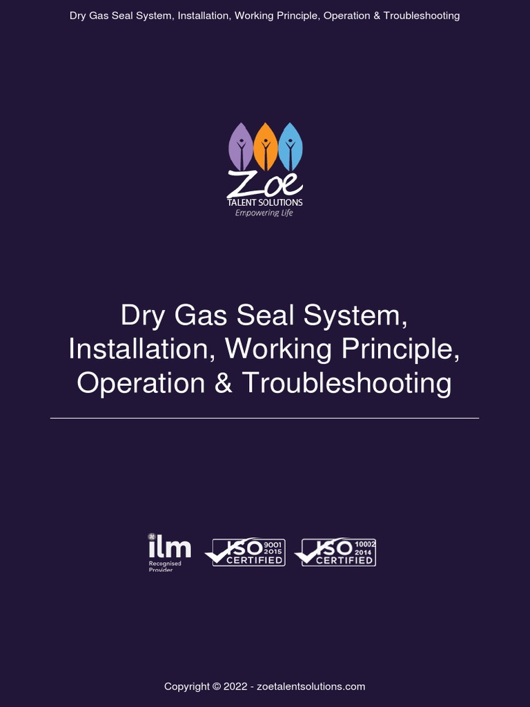 Dry Gas Seal System, Installation, Working Principle, Operation ...