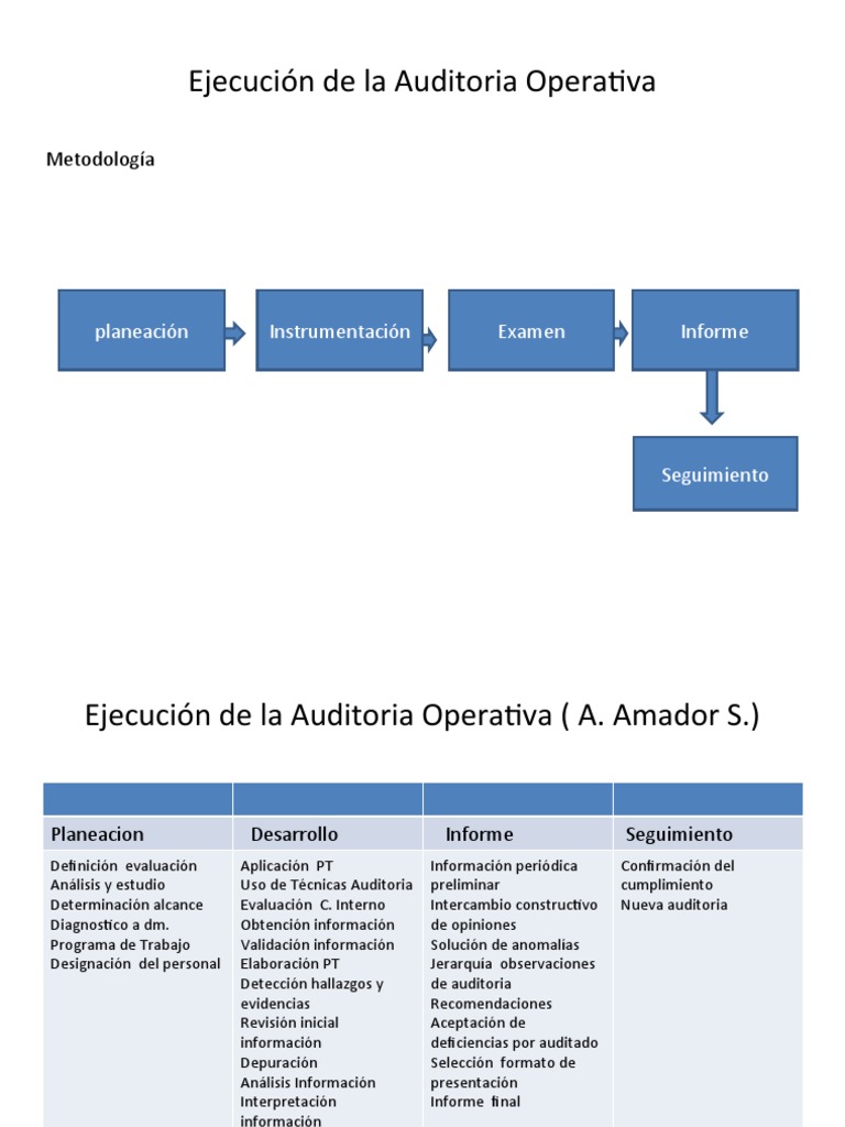 Etapas Ejecucion Auditoria Operativa | PDF | Auditoría | Prueba ...