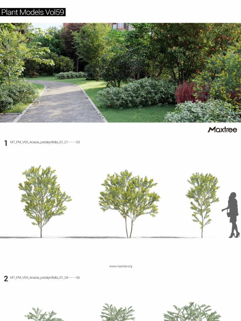 Maxtree - Plant Models Vol 59 | PDF