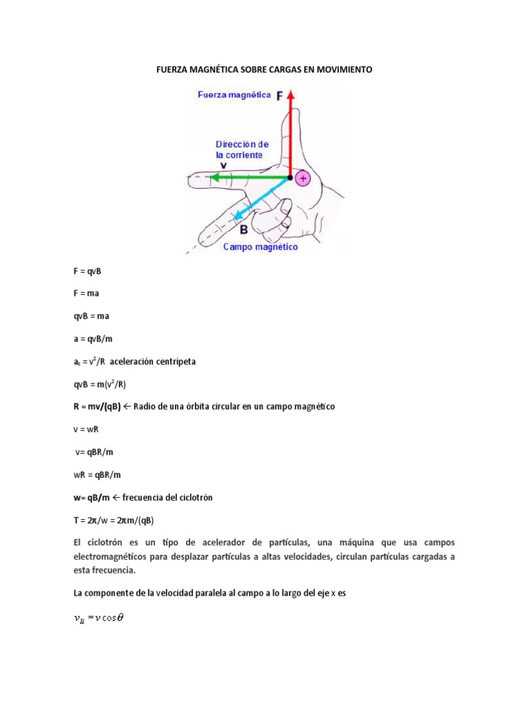 Complementacion Campos | PDF | Campo magnético | Velocidad
