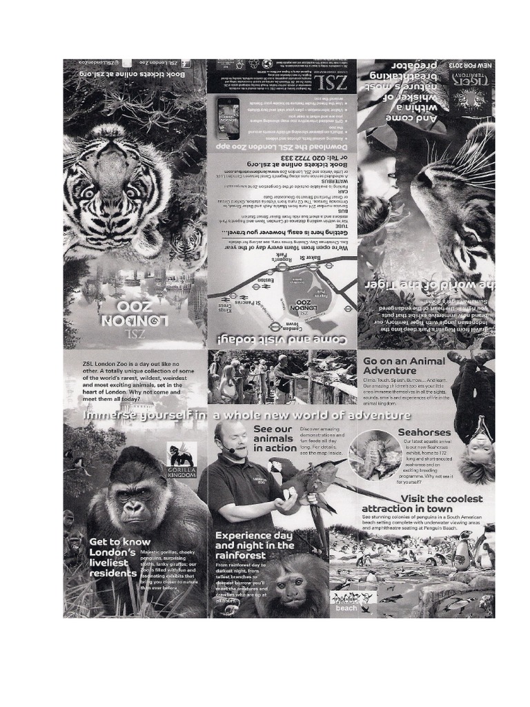 Brochure Zoo | PDF