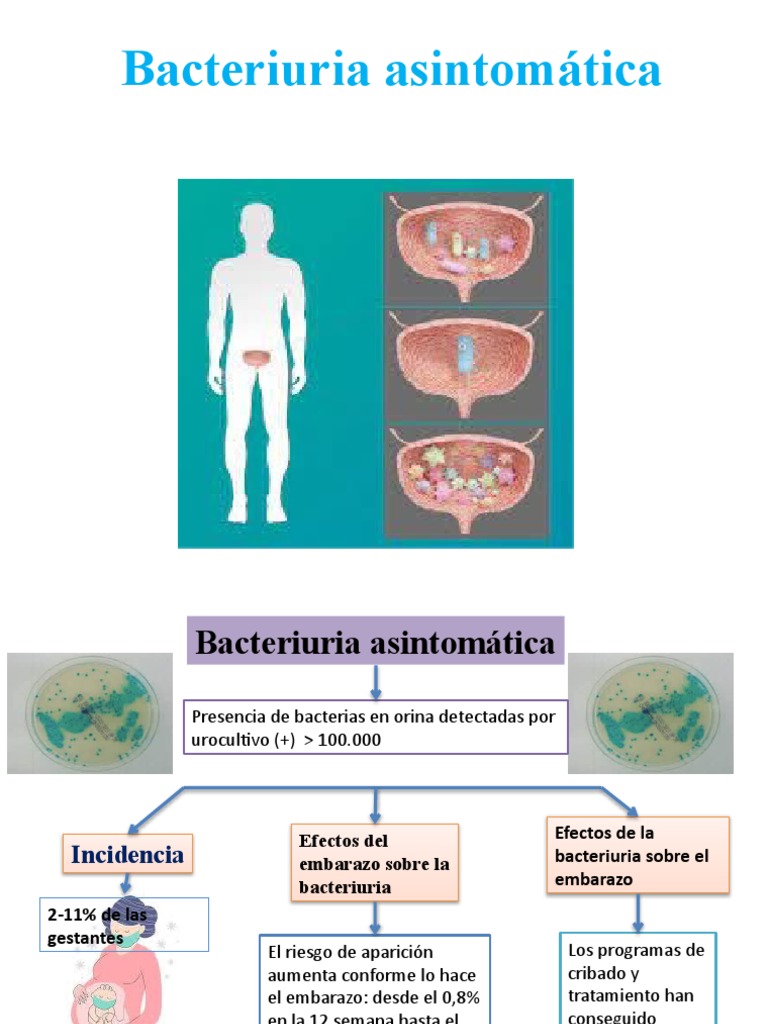 Bacteriuria Asintomática | PDF | Causas de la muerte | Medicina
