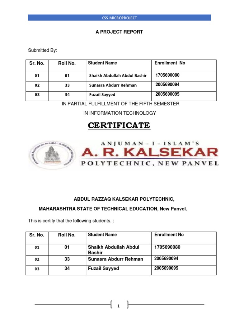 CSS Microproject | PDF | Java Script | Internet