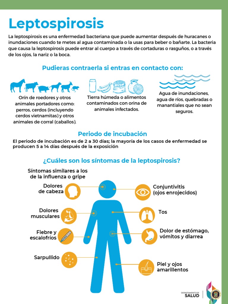 091922-Leptospirosis - Hoja Informativa | PDF | Influenza | Causas de la muerte