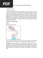 Brazo_Robotico_Simulacion_Arduino | PDF