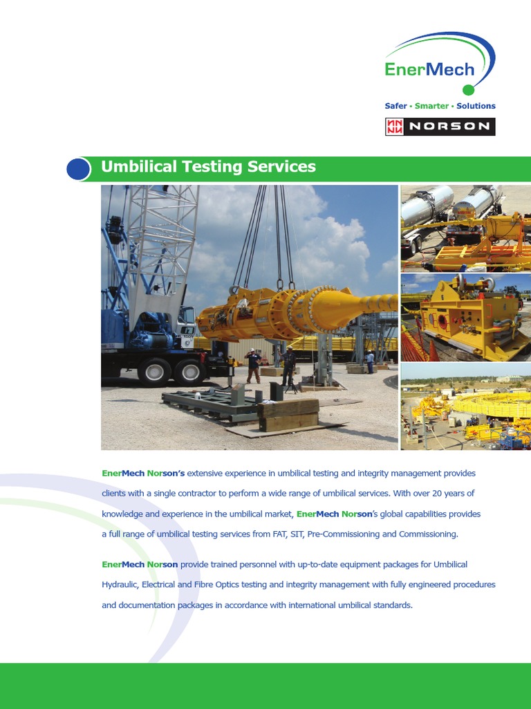EnerMech Umbilical Testing | PDF | Optical Fiber | Subsea (Technology)