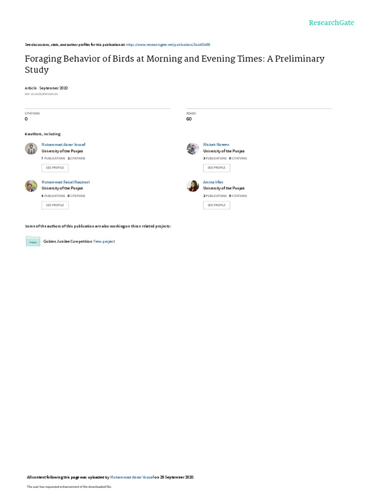 Bird Foraging Patterns Study | PDF | Foraging | Predation