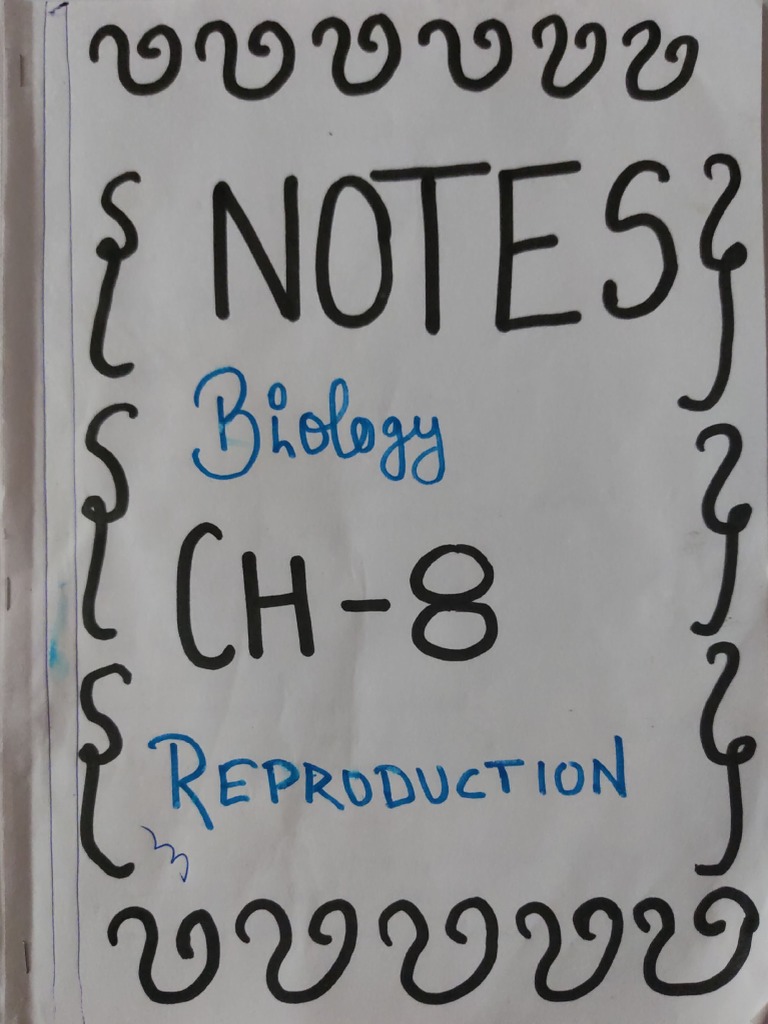 Chapter 8 Class 11th Notes | PDF