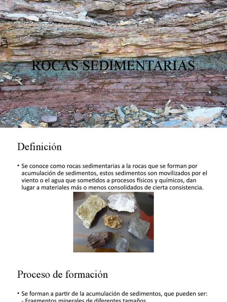 Rocas Sedimentarias | PDF | Ciencias sociales | Arte