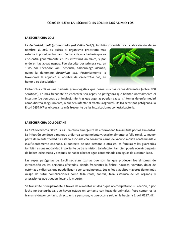 Como Influye La Escherichia Coli en Los Alimentos | PDF | Escherichia ...