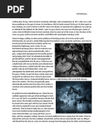 30 Chilling Short Horror Stories | PDF