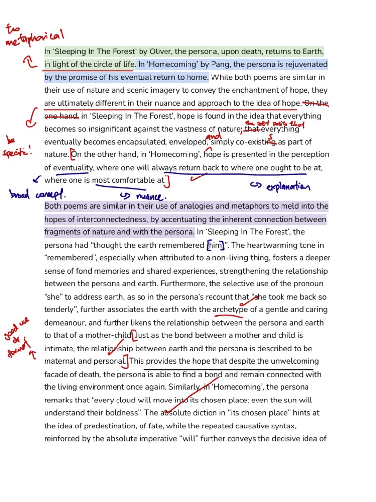 Lit Essay | PDF | Poetry