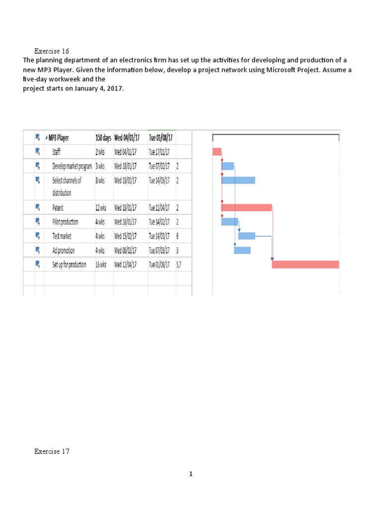 Project Management Assignment Ch1 | PDF