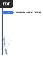 Primavera P6 Training Manual | PDF | Project Management | Computing