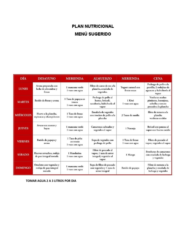 Plan Nutricional | PDF