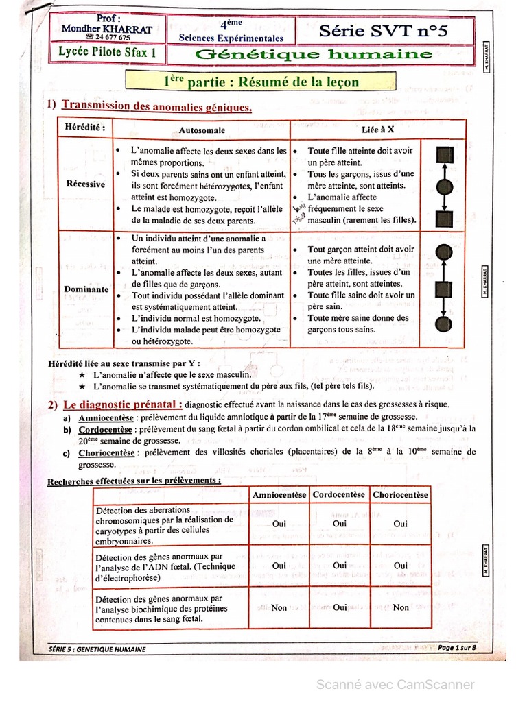 Génétique Humaine | PDF