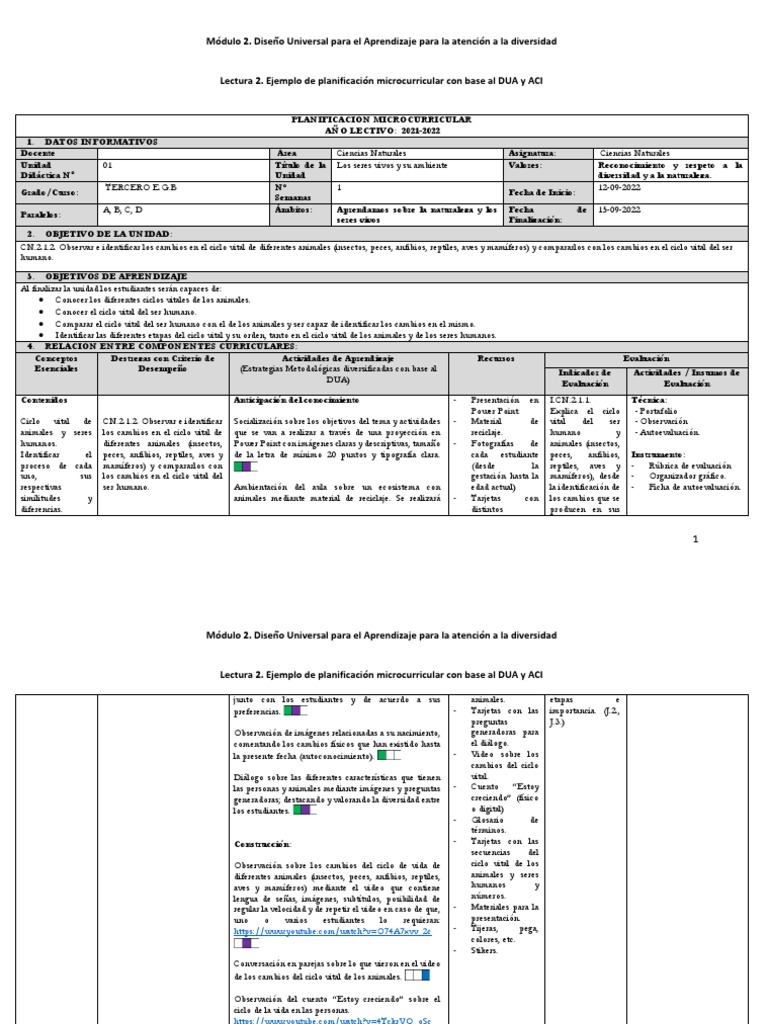 Ejemplo de Planificación Microcurricular Con Base Al Diseño Universal para El Aprendizaje y Las ...