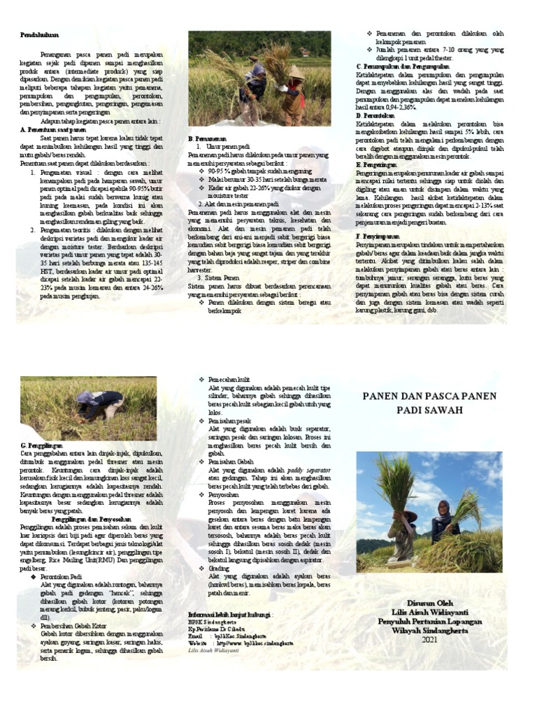 Materi Panen Dan Pasca Panen Ok | PDF